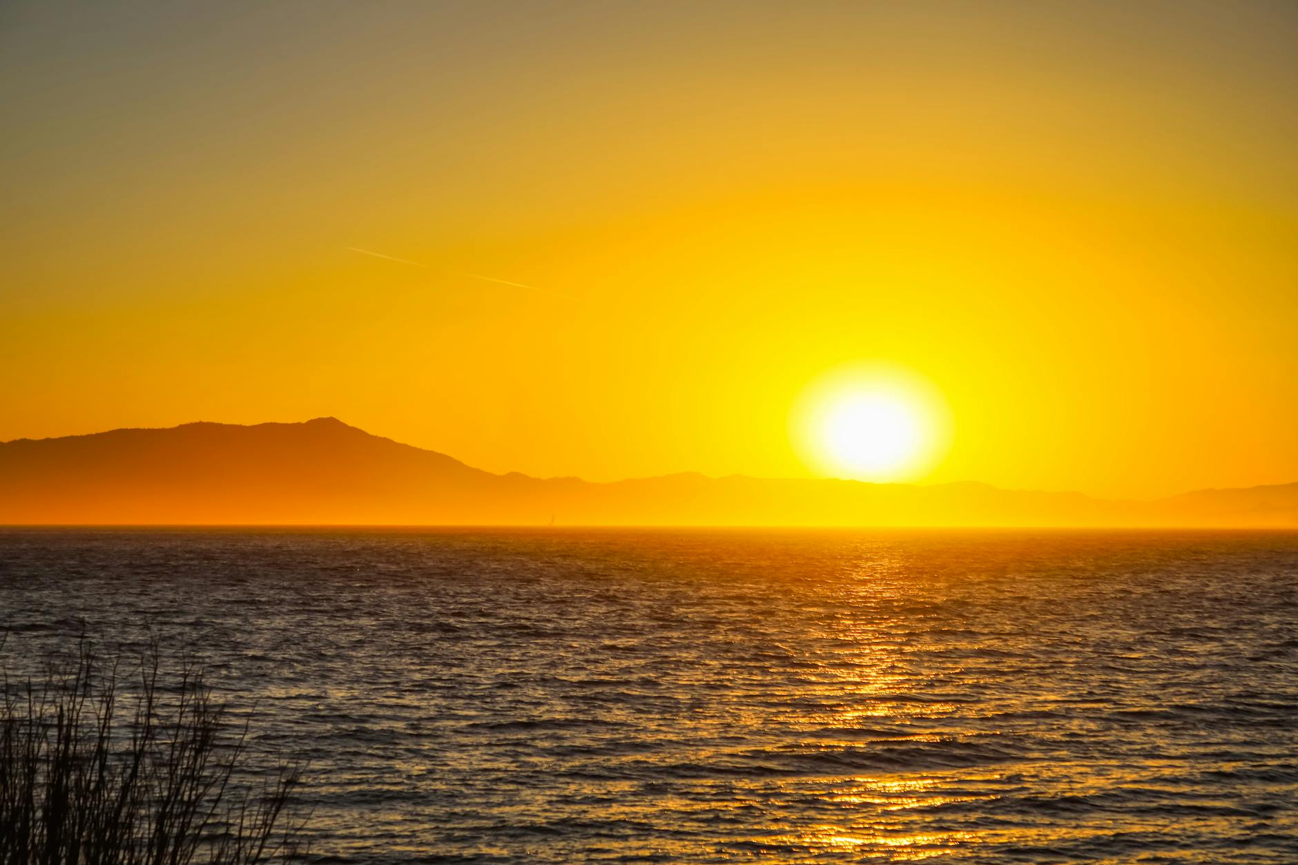 Warm golden hour light on gentle ocean waves