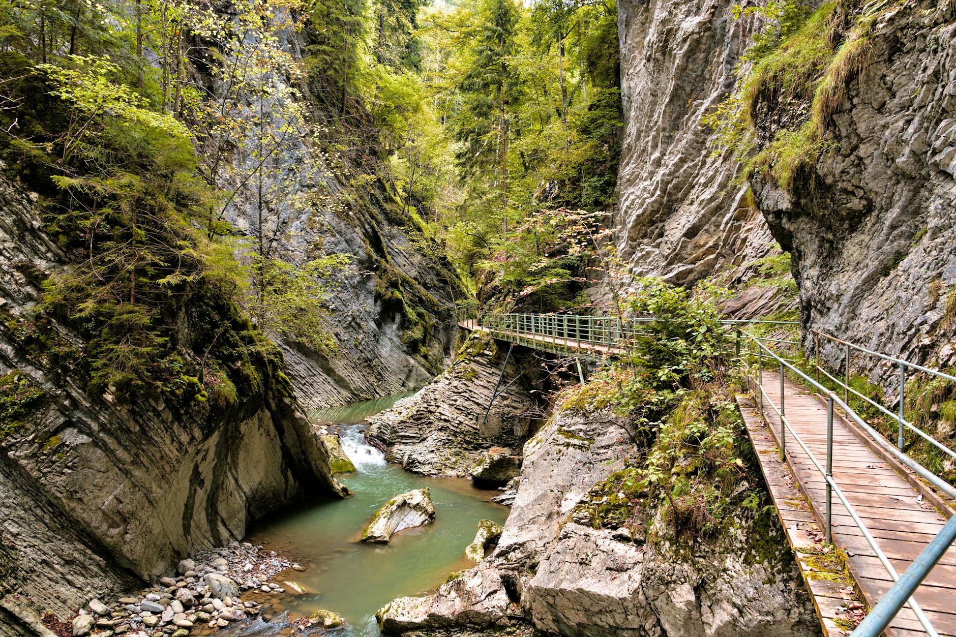 Wooden pathway through gorge with greenery