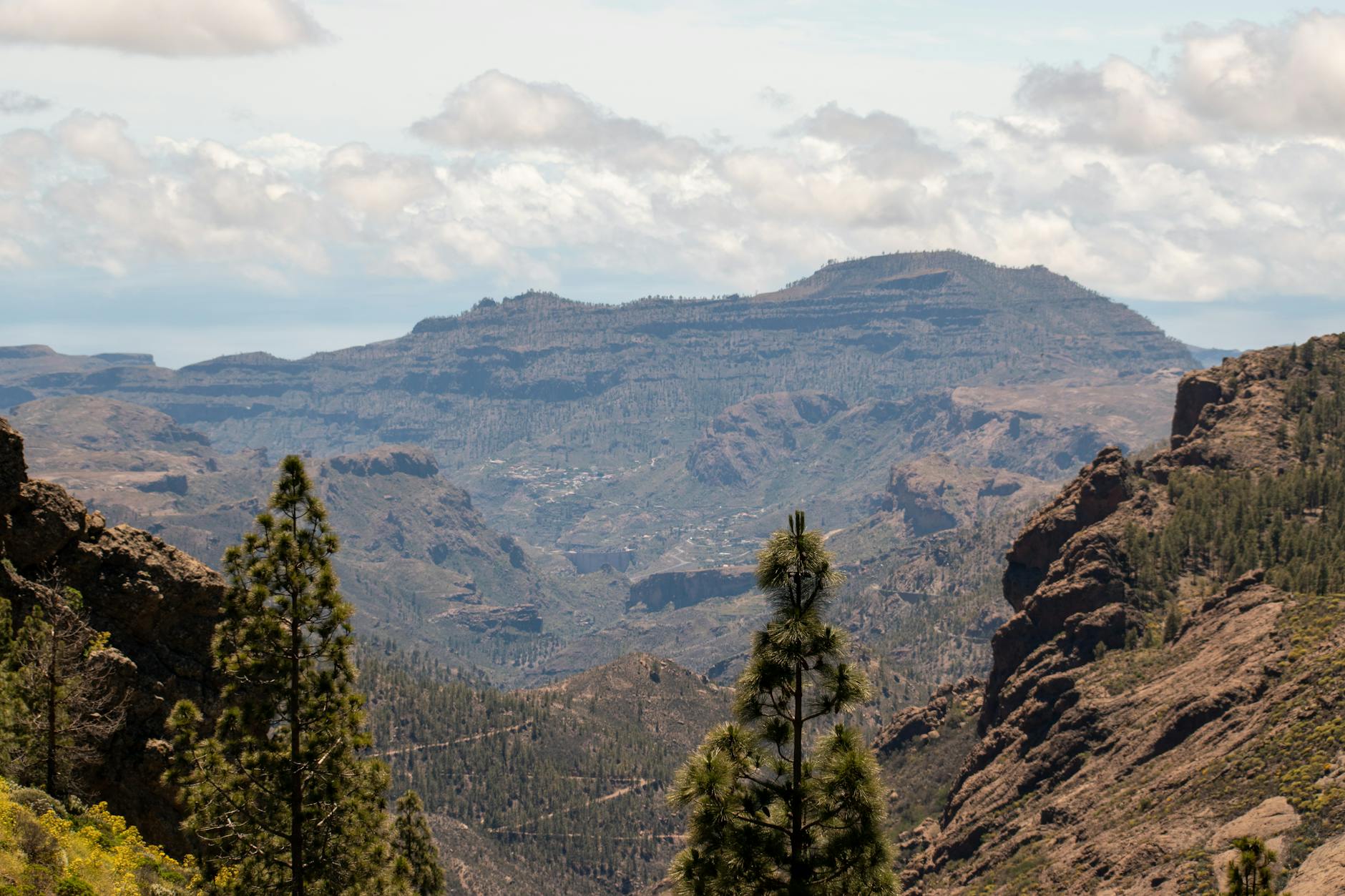 Panoramic view of mountains and forests in Gran Canaria