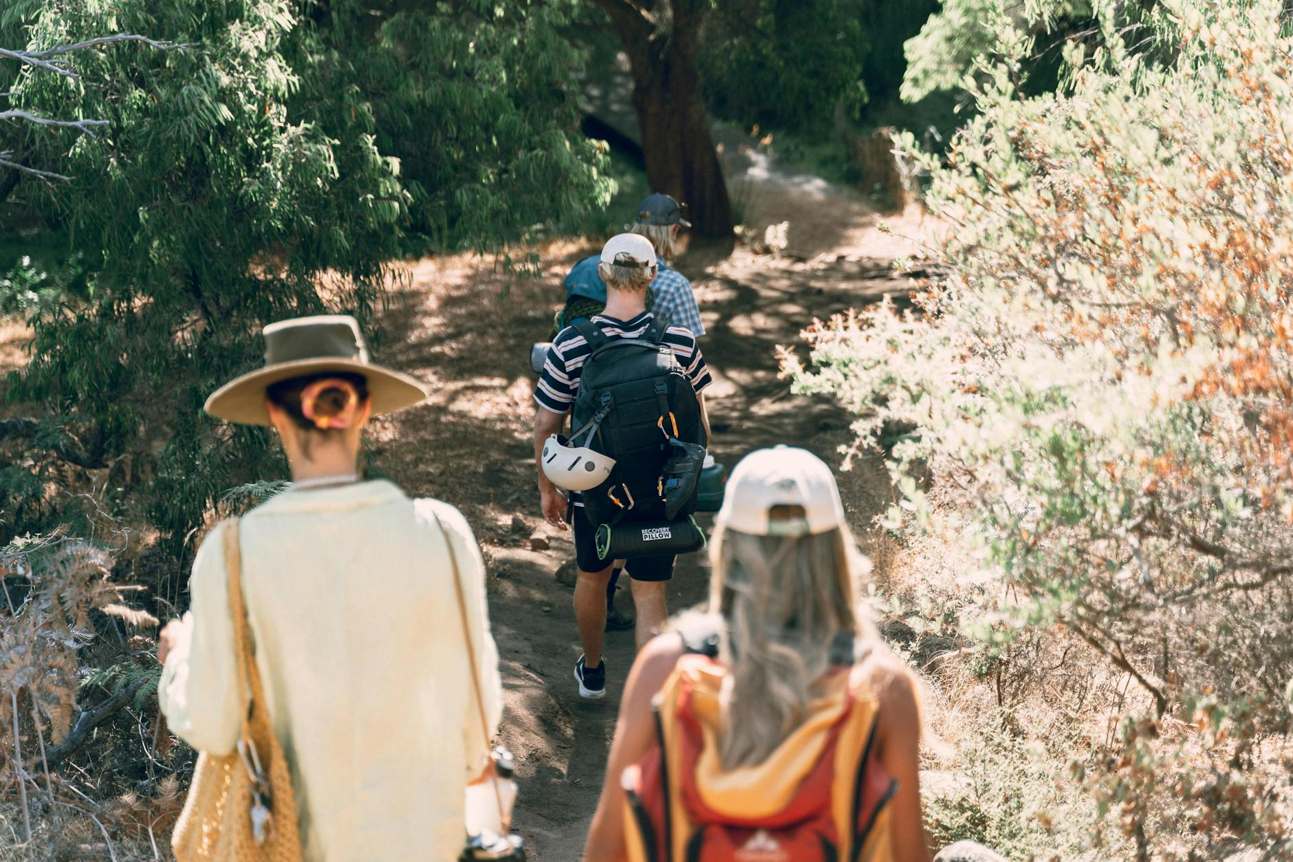 Group of hikers walking along sunny forested trail