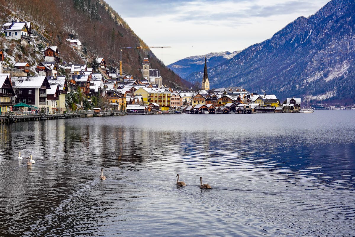 Winter view of Hallstatt village with swans swimming on the lake