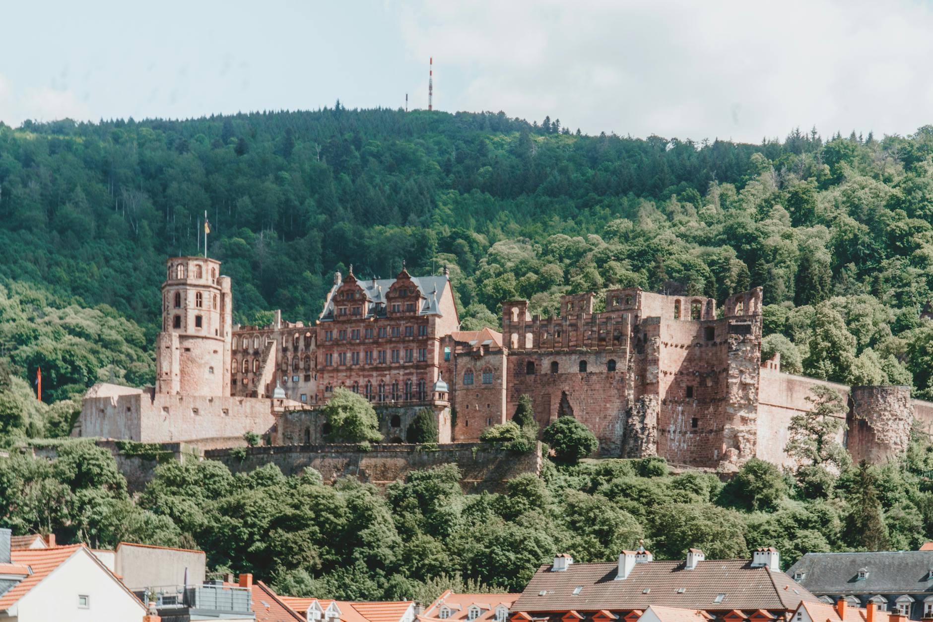 Heidelberg Castle surrounded by lush greenery in summer
