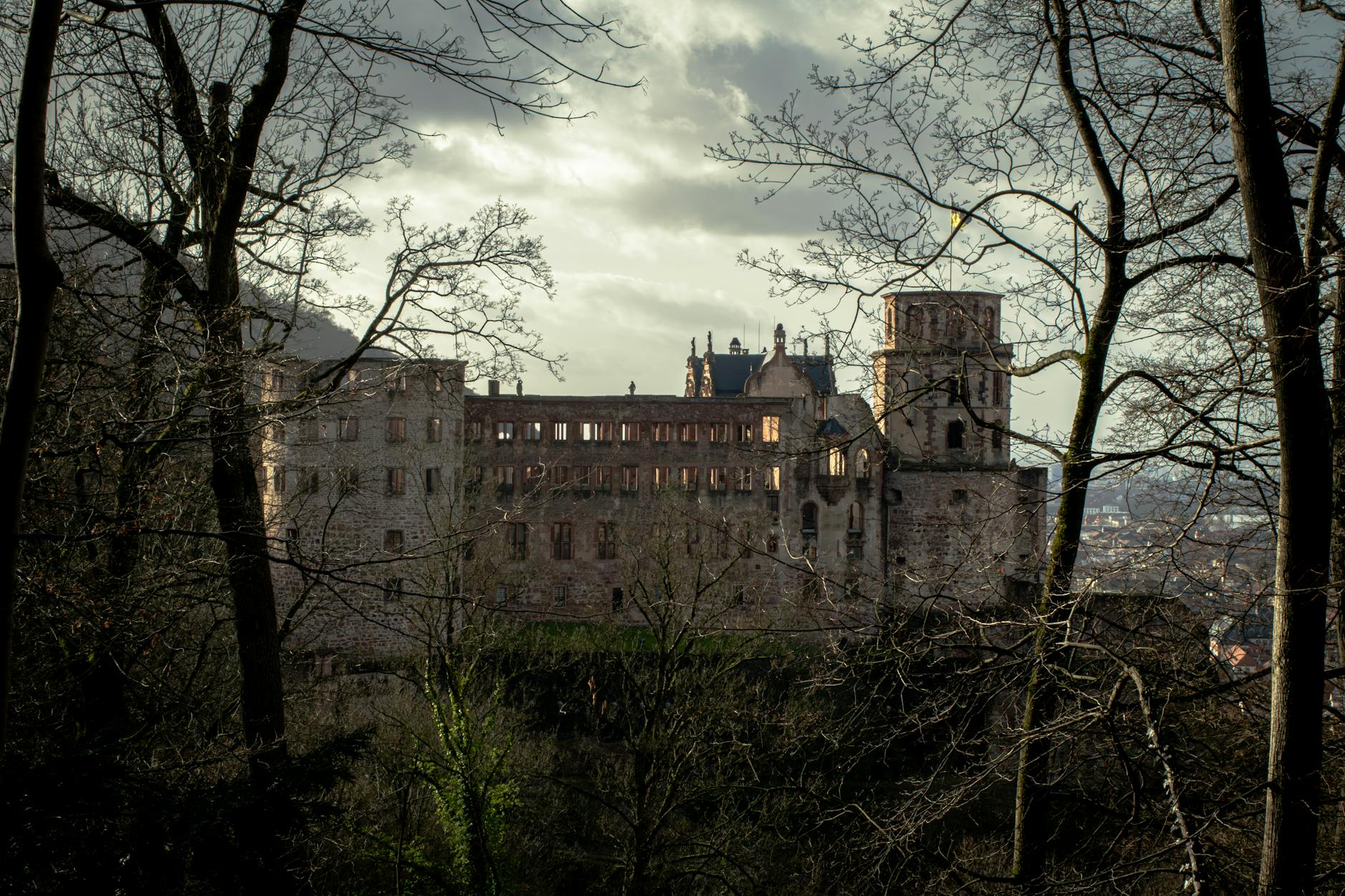 Heidelberg Castle framed by bare trees in winter