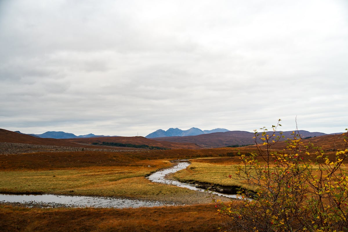 A winding stream cutting through the Scottish Highlands with golden autumn bracken on the hillsides under moody skies