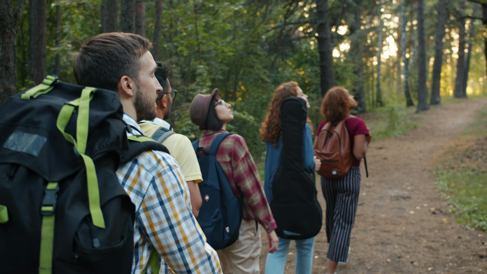Backpackers hiking through forest trail