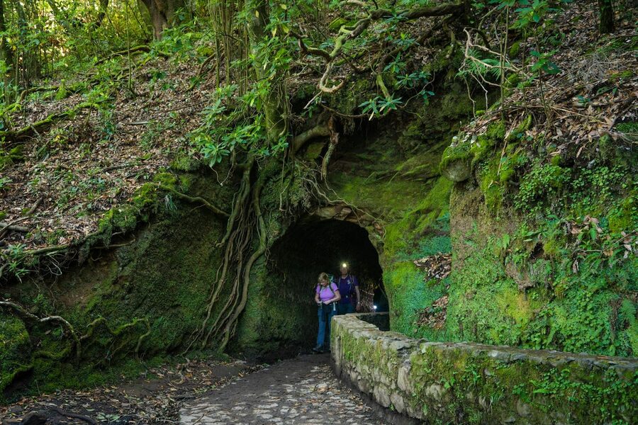Hikers entering a moss-covered tunnel along a levada trail in Madeira Portugal