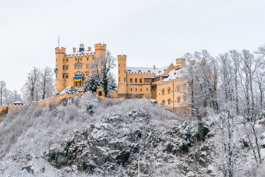 Hohenschwangau Castle surrounded by snow-covered trees in winter Bavaria