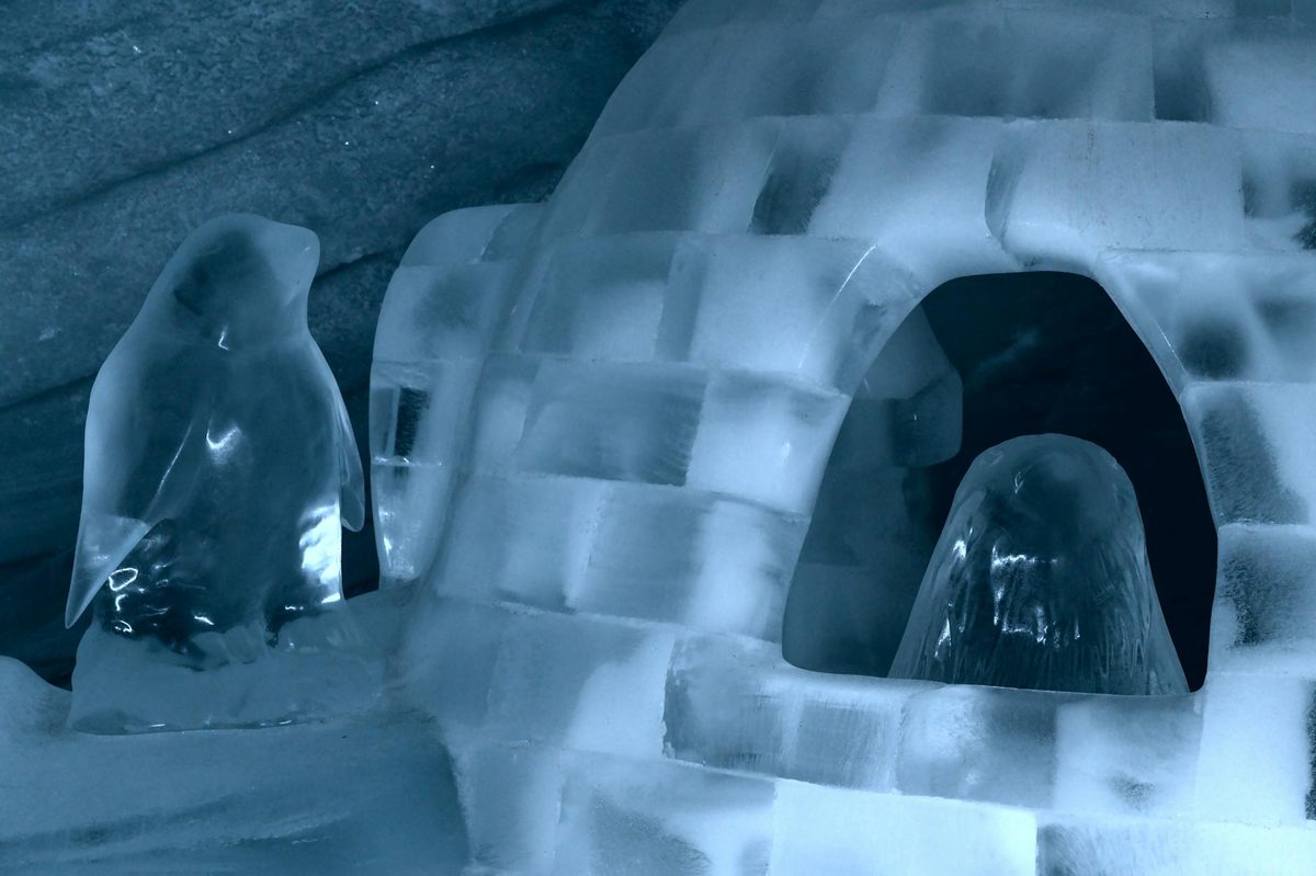 Ice sculpture of an igloo with penguin figurines