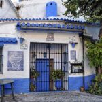 Cave dwellings carved into the Sacromonte hillside in Granada with white facades and cactus plants