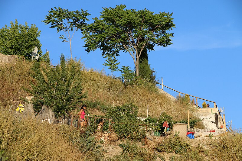 Whitewashed cave entrance on the Sacromonte hillside in Granada with potted plants