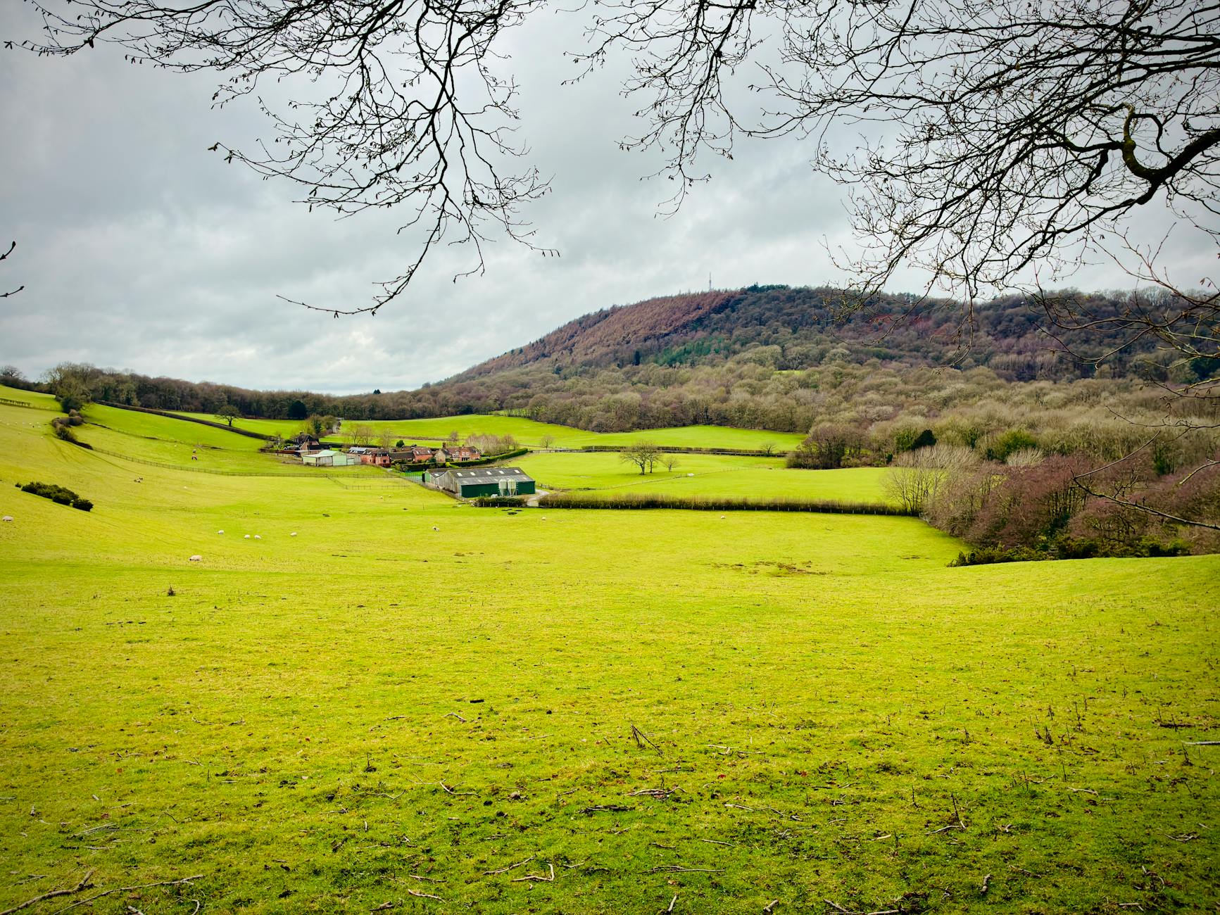 Green rolling hills in the English countryside under blue sky