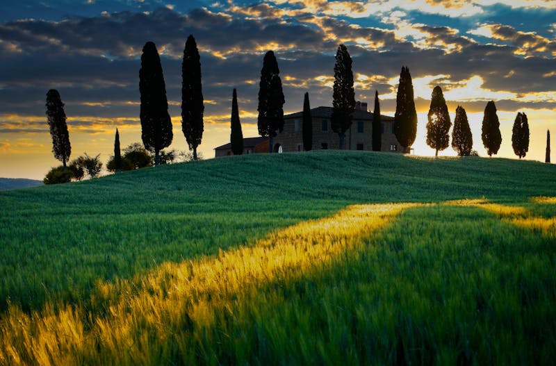 Golden sunrise casting warm light over rolling Tuscan hills with cypress trees and a stone farmhouse