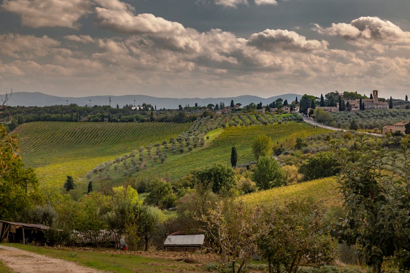 Picturesque Tuscan hilltop village surrounded by vineyards and rolling green hills under cloudy sky