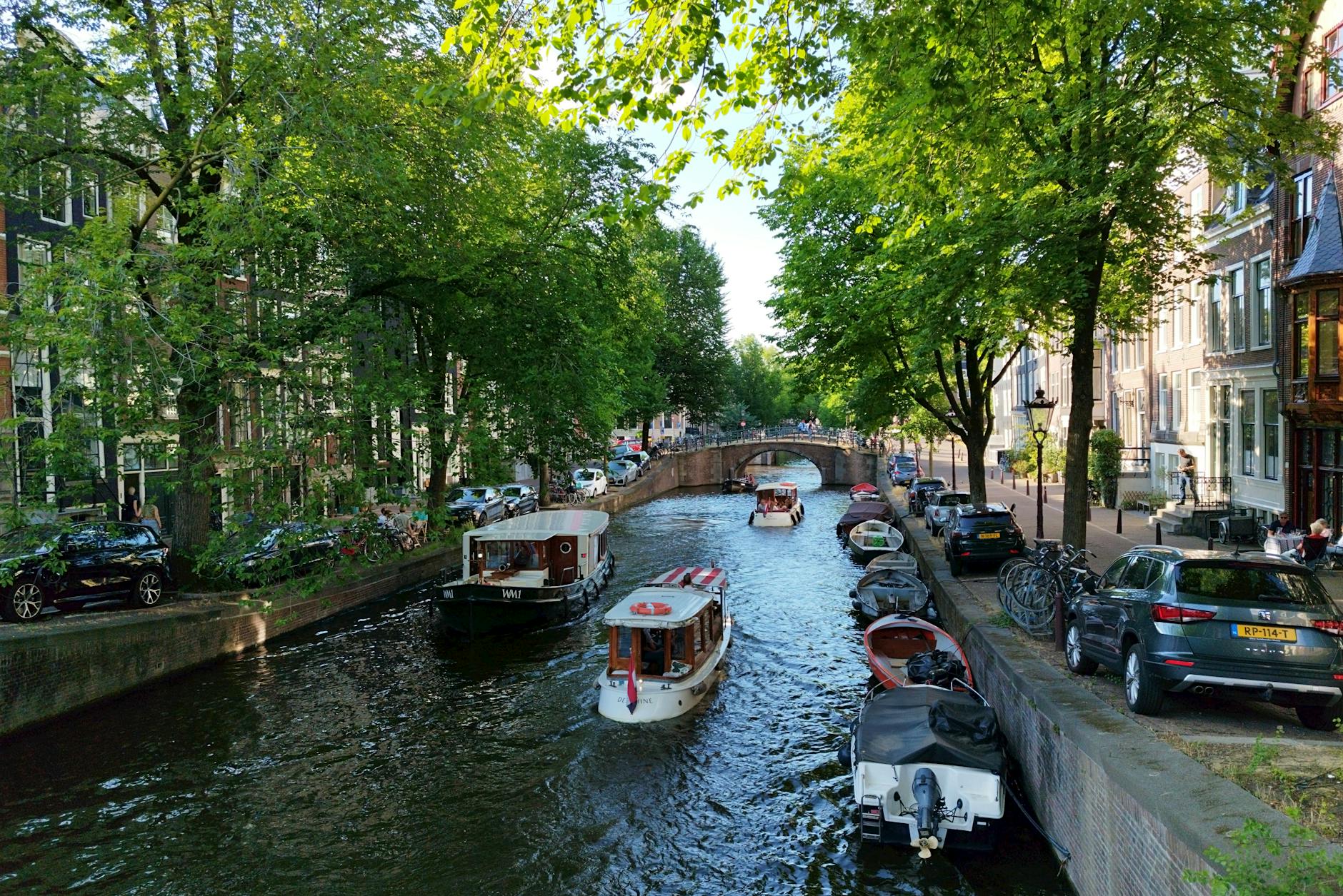 A vibrant summer day along an Amsterdam canal lined with boats and lush trees