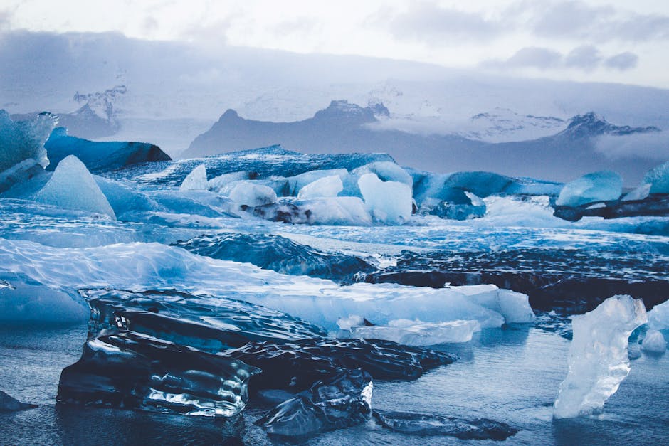 Icebergs floating in a blue lagoon