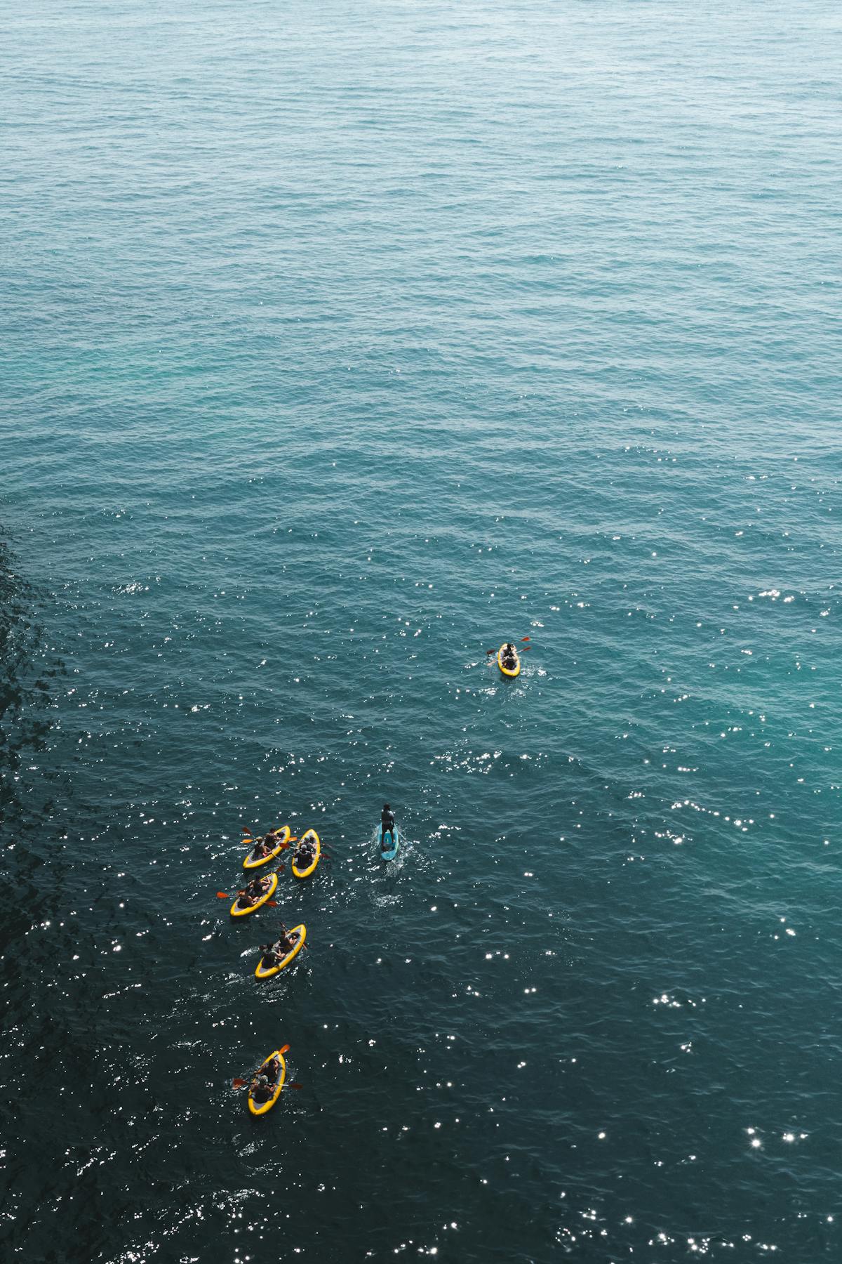 Aerial view of kayakers on the ocean