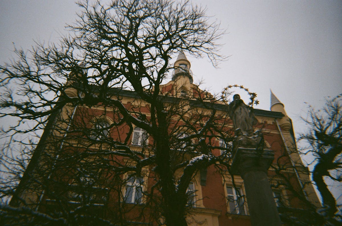 Historic building in Krakow framed by snow-covered trees