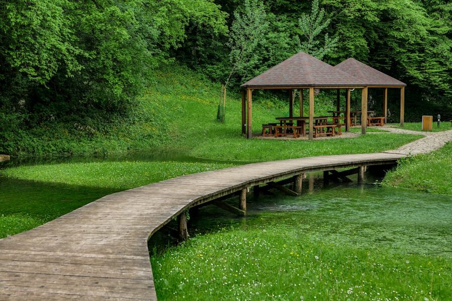 Wooden bridge through lush green forest park