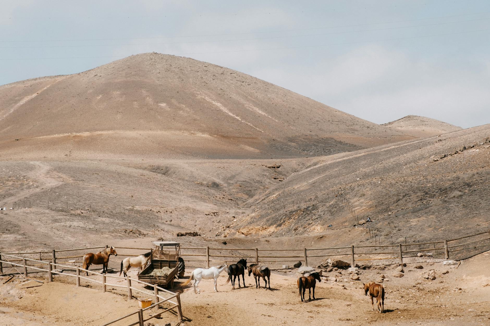 Traditional white houses in a Lanzarote village