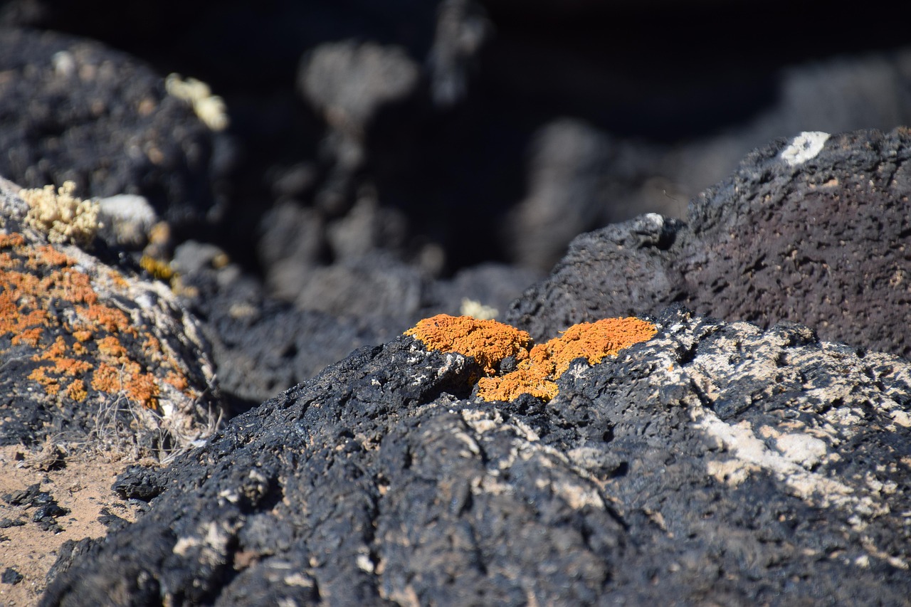 Volcanic rock formations in Lanzarote