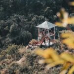 Aerial shot of an observation tower in lush green forest, Hai Phong, Vietnam.