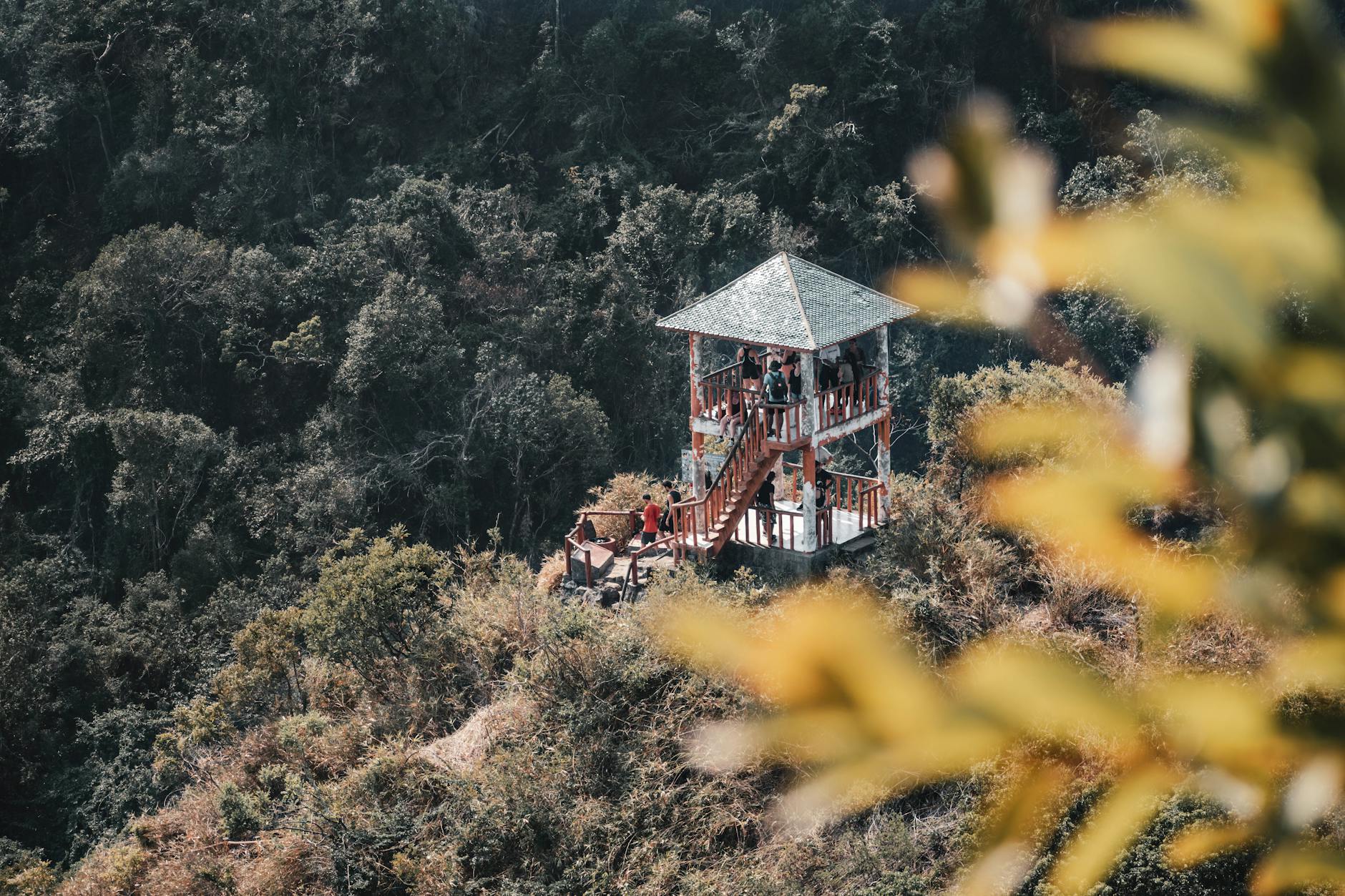 Aerial shot of an observation tower in lush green forest, Hai Phong, Vietnam.