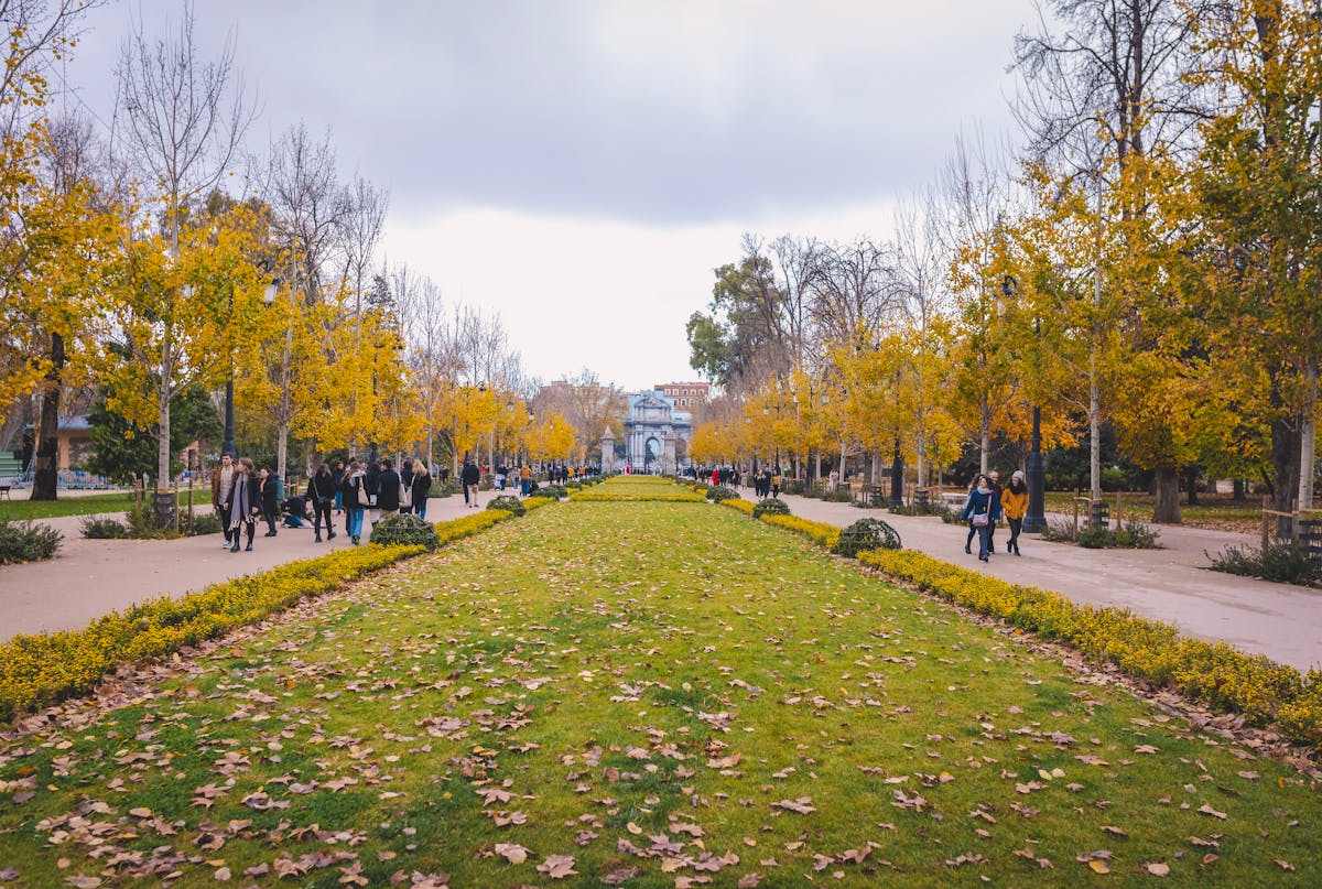 Autumn trees and walking paths in Retiro Park Madrid