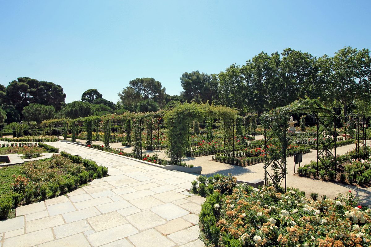 Rose garden La Rosaleda in Retiro Park Madrid in bloom