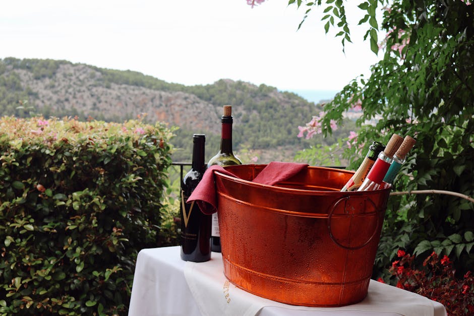 Wine tasting with mountain backdrop at a Spanish vineyard