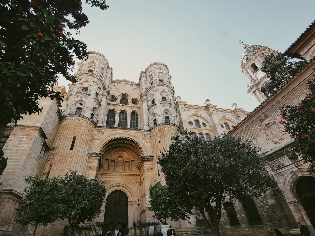 Malaga Cathedral surrounded by lush orange trees