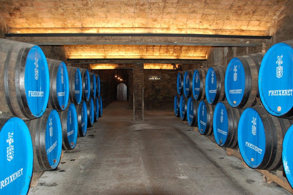 Wine cellar with rows of oak aging barrels in Spain
