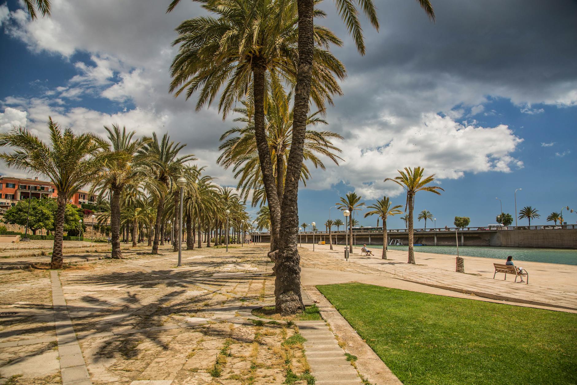 Palm tree lined promenade in Mallorca with ocean view