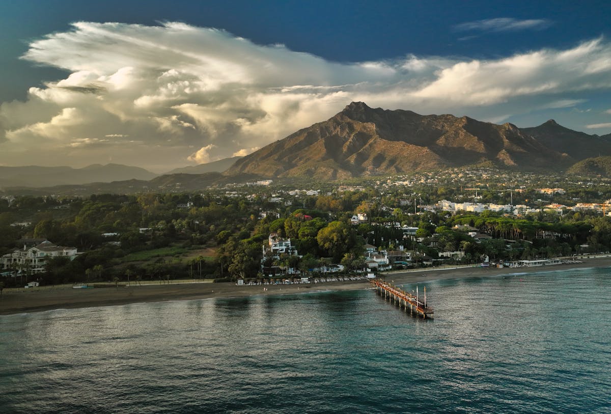 Aerial view of Marbella coastline showing greenery and blue sea