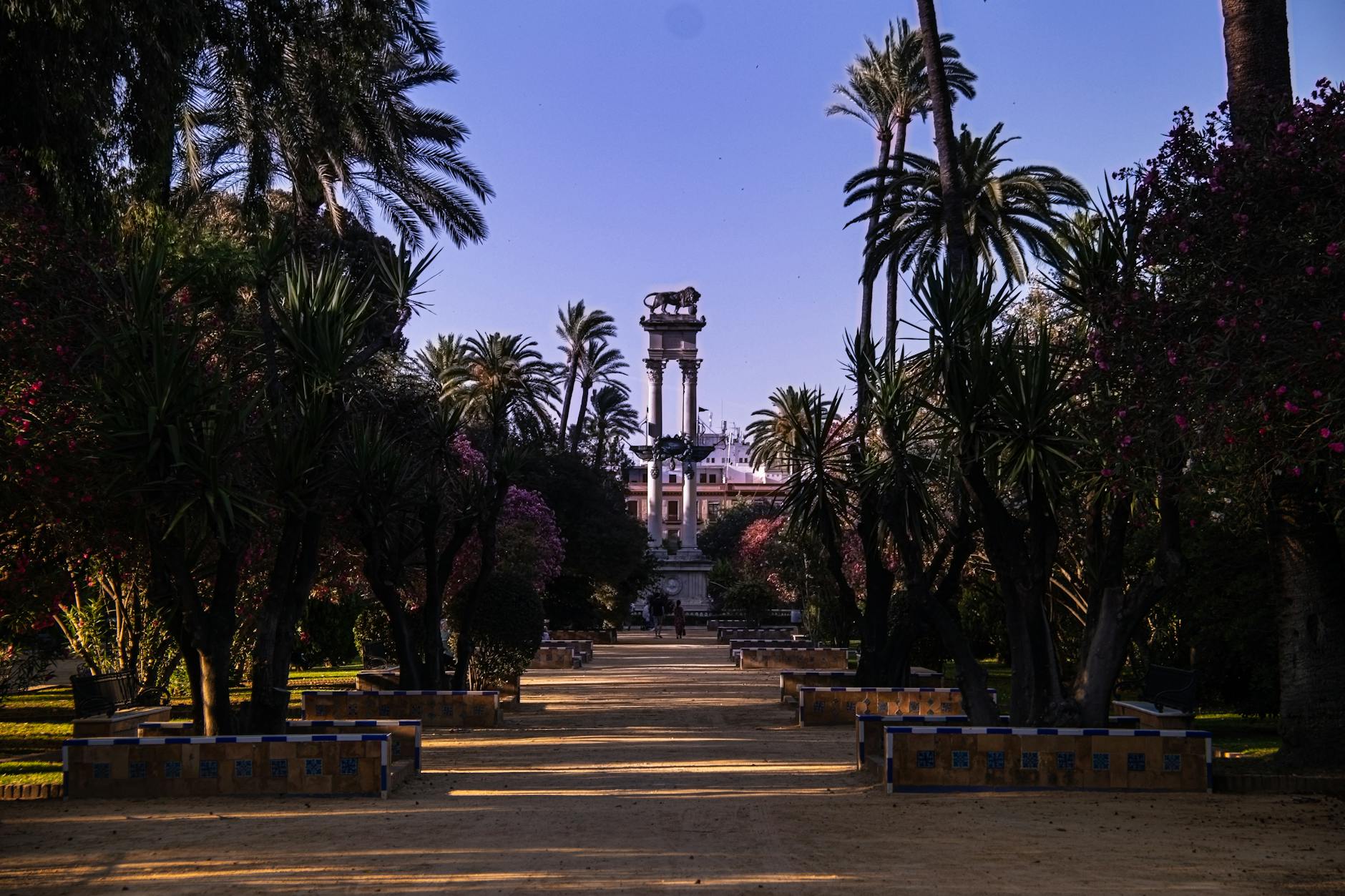 Tree-lined pathway in Maria Luisa Park Seville