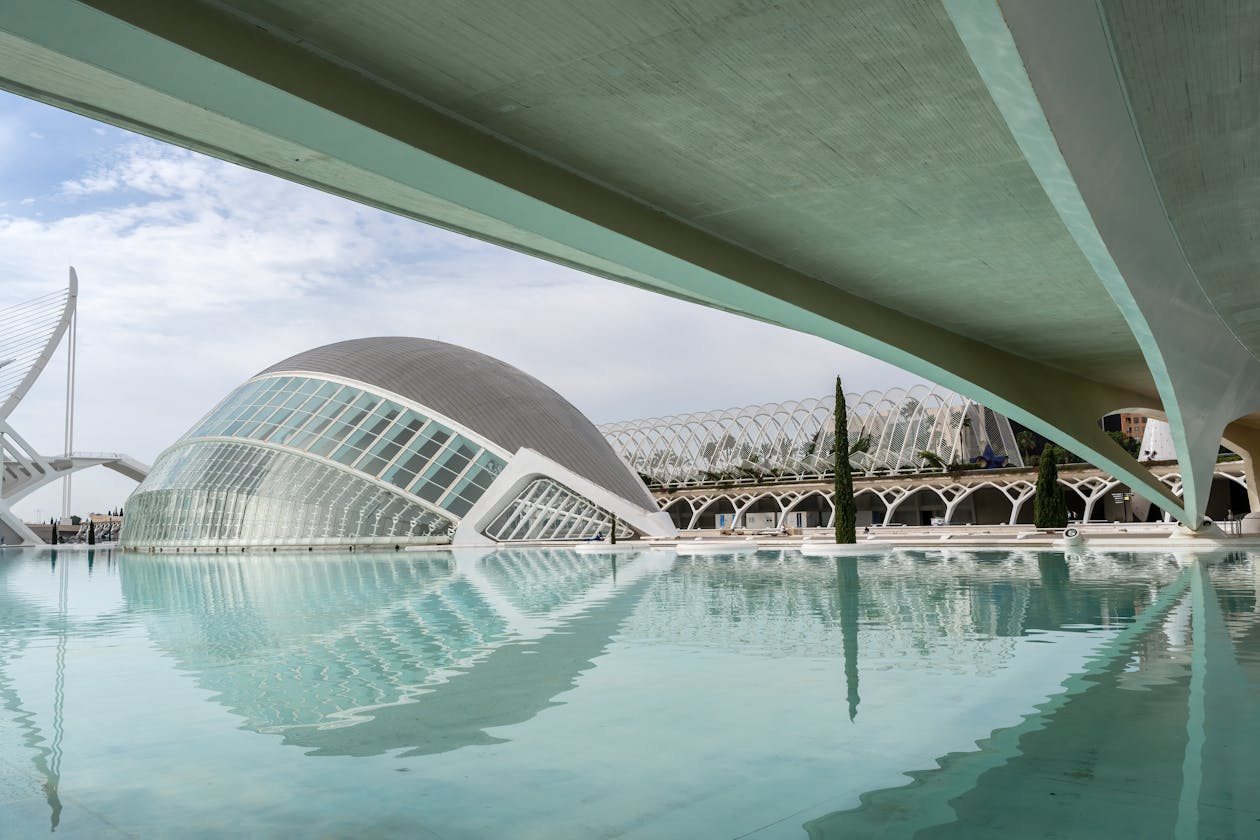 Modern white architectural curves and glass at the City of Arts and Sciences Valencia