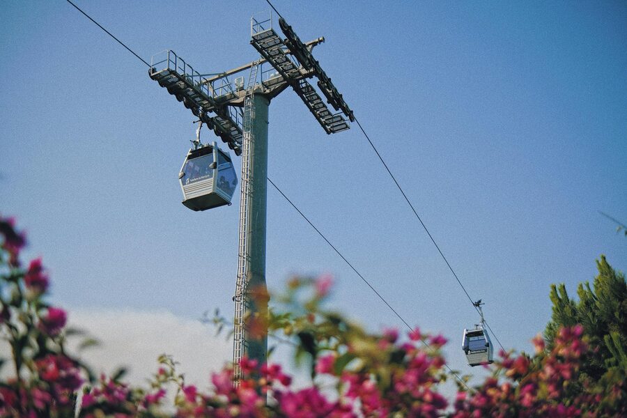 Cable cars traveling over Montjuic with colorful flowers in the foreground