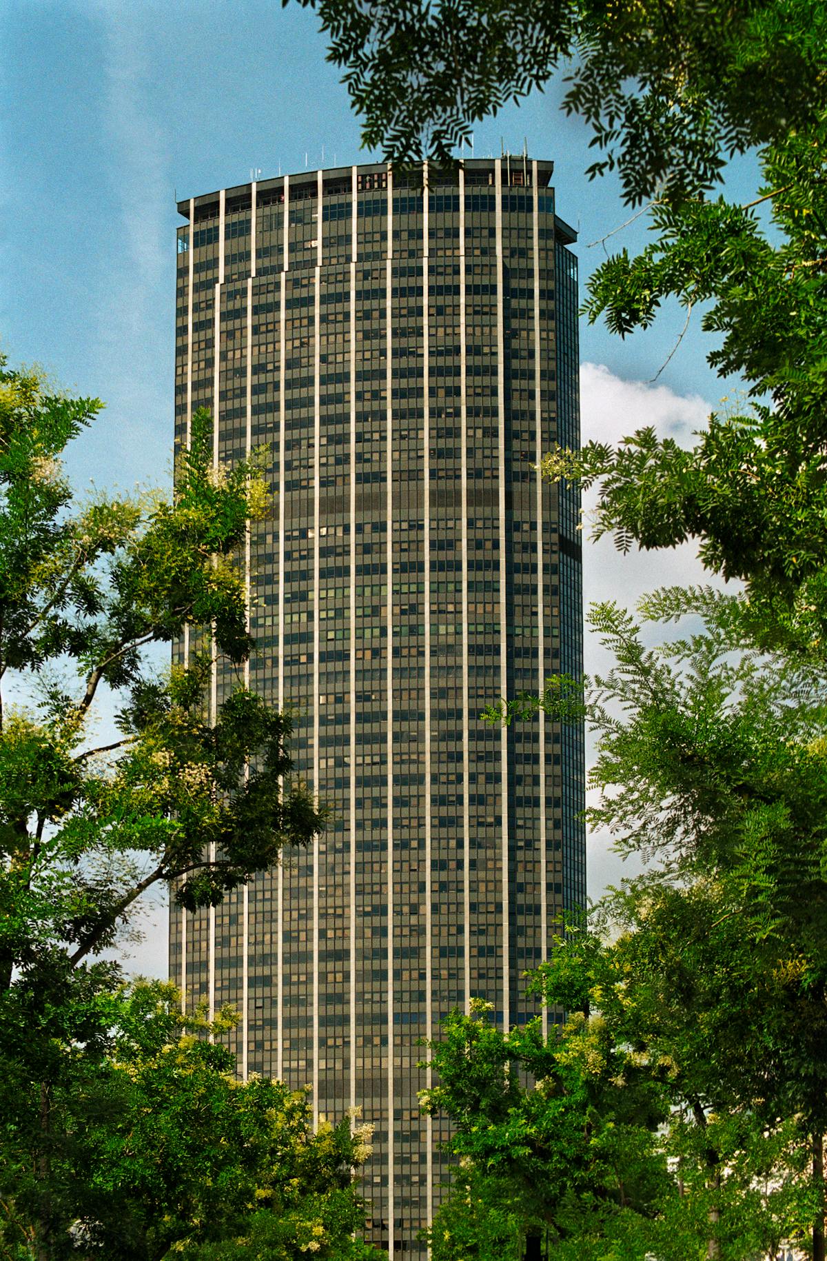 Montparnasse Tower rising above tree canopy in Paris