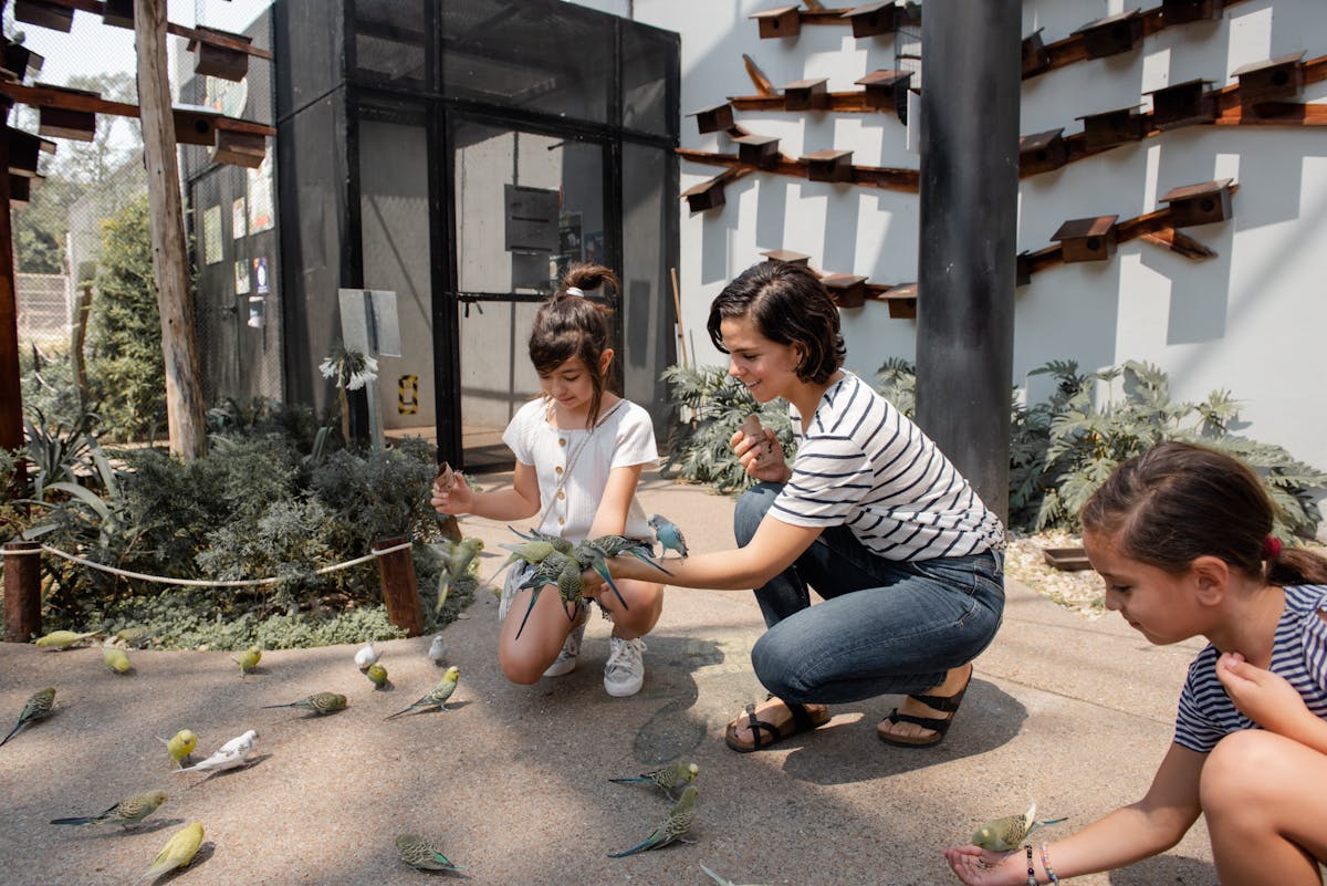 Family interacting with parrots at an outdoor zoo exhibit