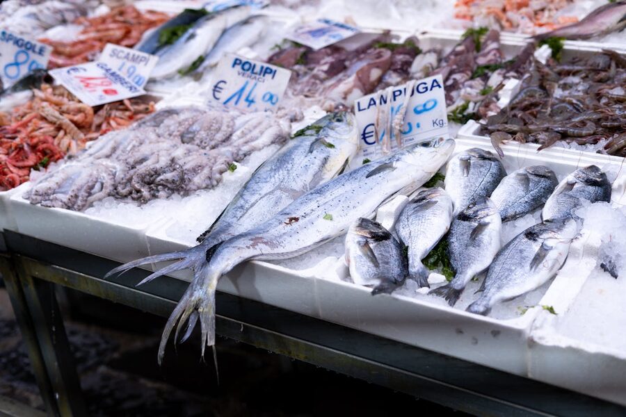 Market stall in Naples with fresh seafood including fish and octopus on ice