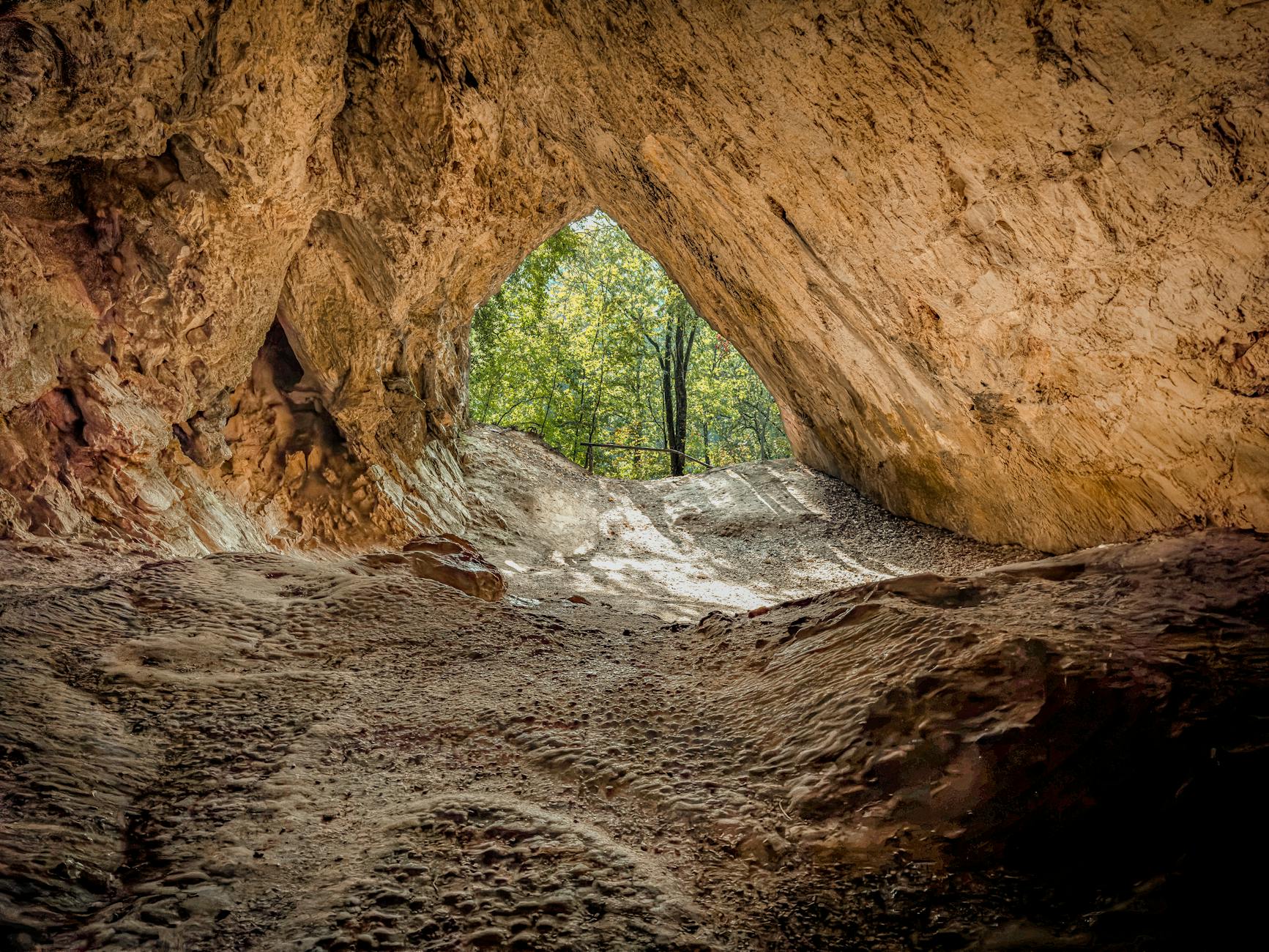 Natural cave entrance with forest view