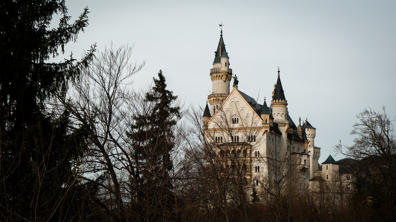 Neuschwanstein Castle surrounded by snow-covered peaks and forests in winter