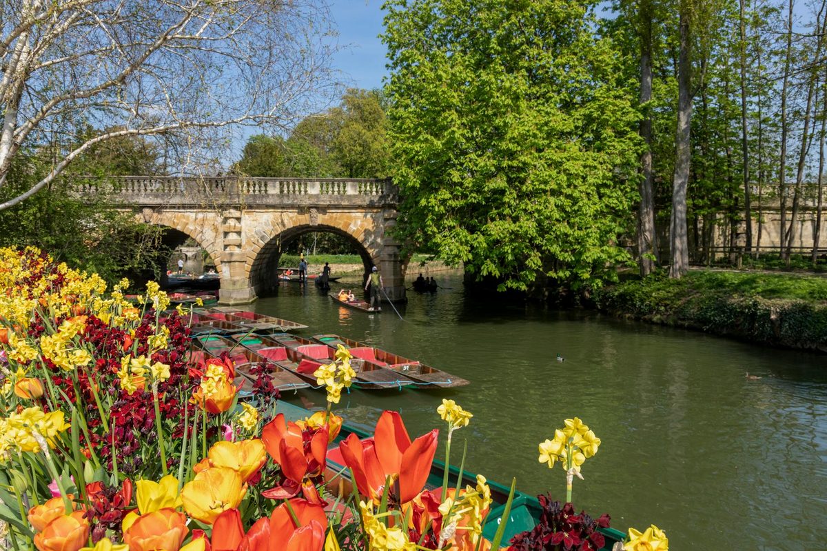 Spring flowers and punting boats on River Cherwell near Magdalen Bridge Oxford