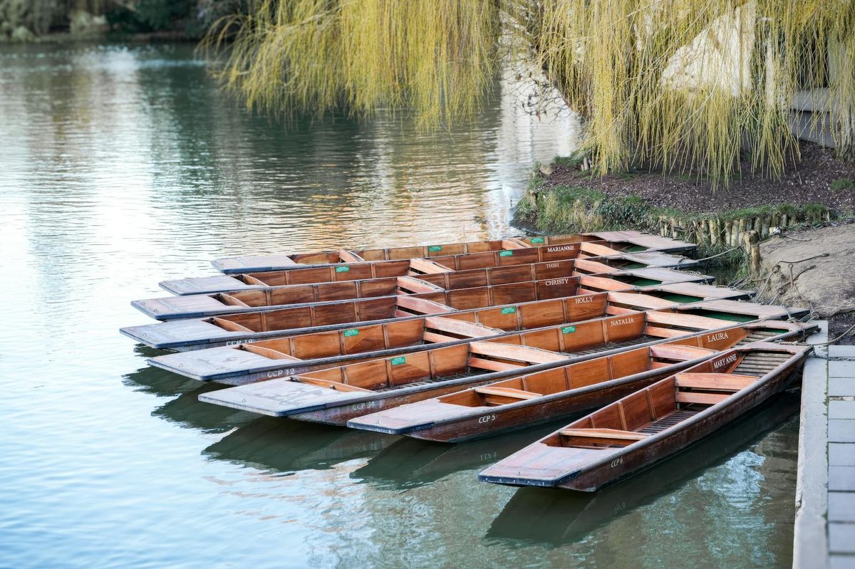 Row of wooden punts docked alongside a tranquil river with overhanging trees