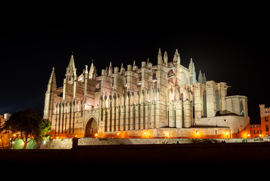 The Gothic Palma Cathedral illuminated against the night sky