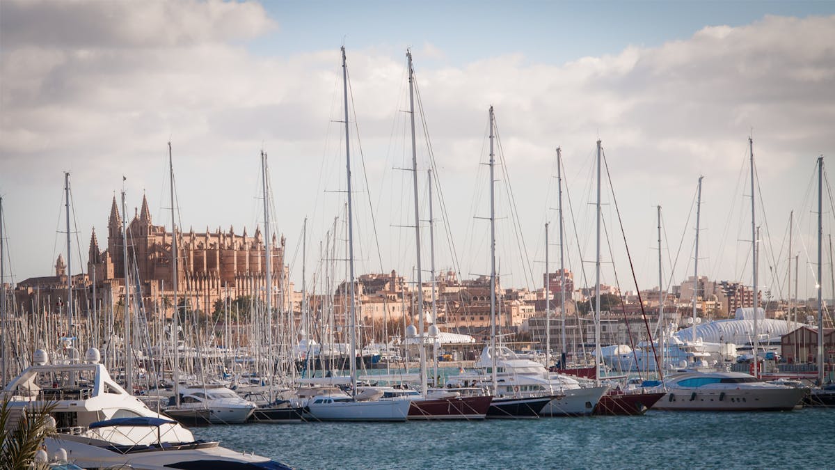 Scenic view of Palma de Mallorca marina with luxury yachts and cathedral visible in background