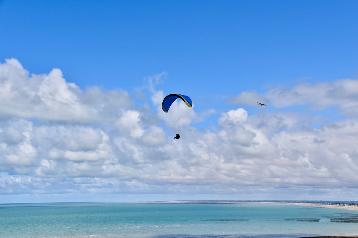 Paraglider flying above a rocky coastline with blue ocean