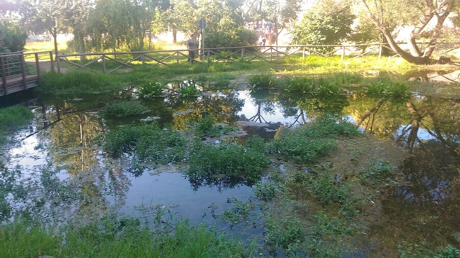 Close view of ancient Roman aqueduct arches in the Parco degli Acquedotti park