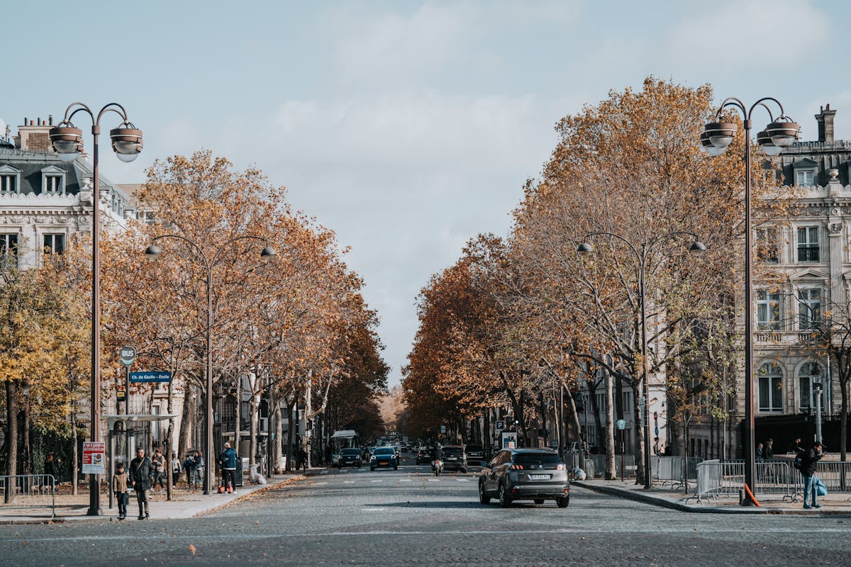 A peaceful autumn day on a Paris street lined with trees and classic architecture