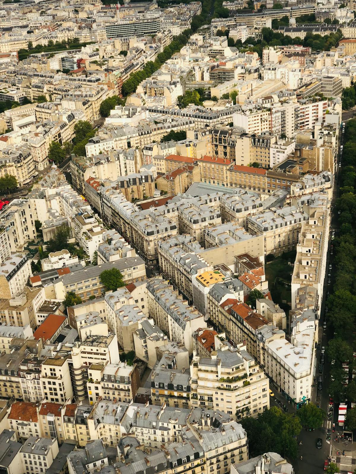 Aerial view of classic Parisian architectural layout with tree-lined boulevards and Haussmann style buildings