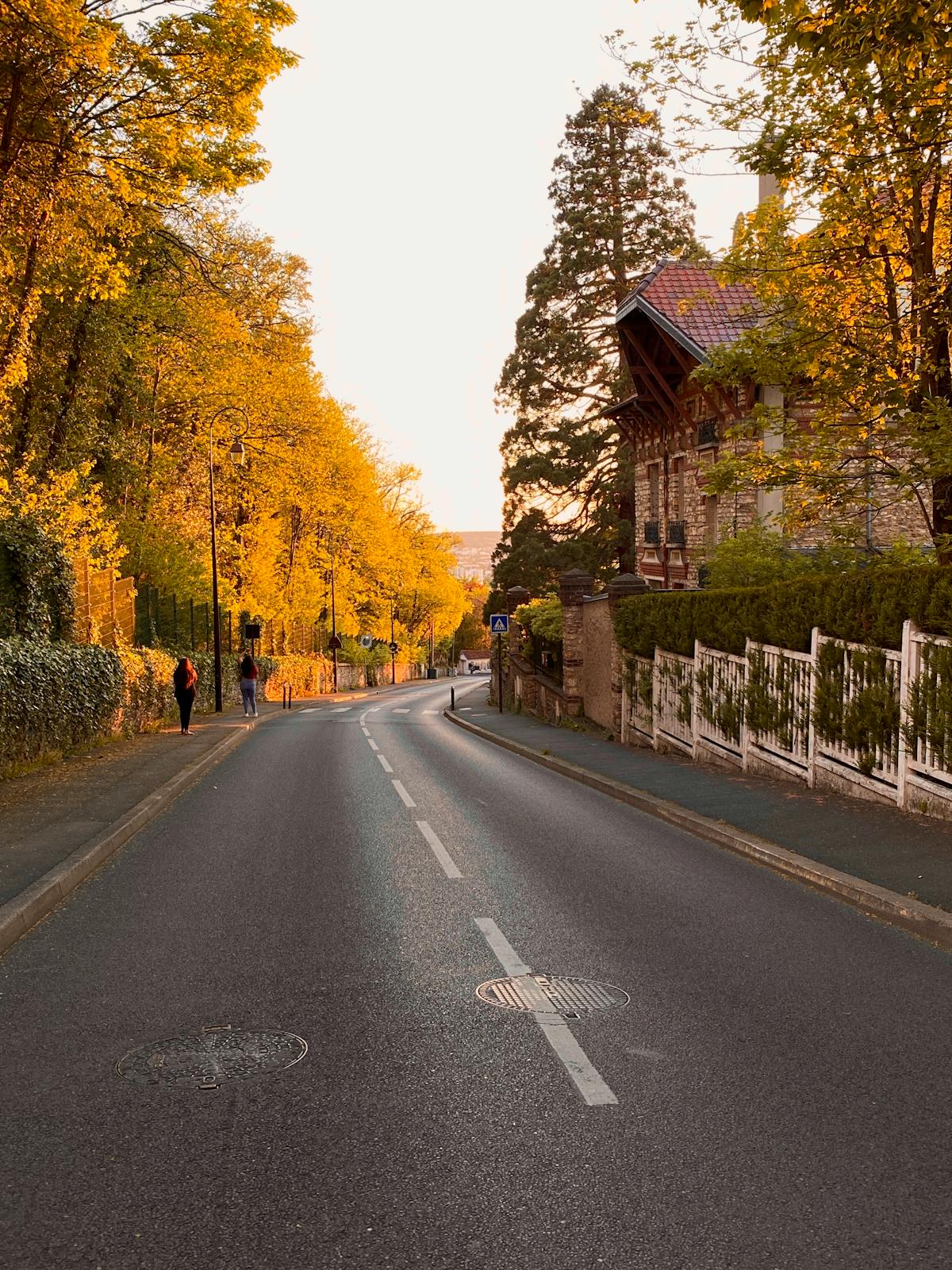 Charming Paris street lined with autumn colored trees and classic French buildings